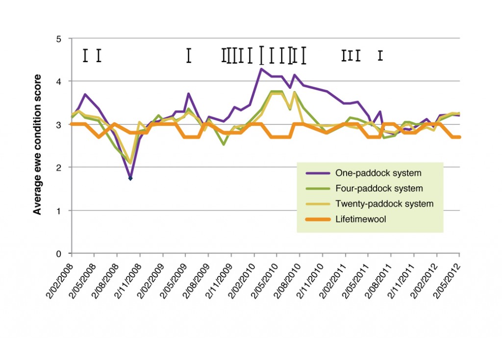The effect of grazing intensity on production and profit from native ...