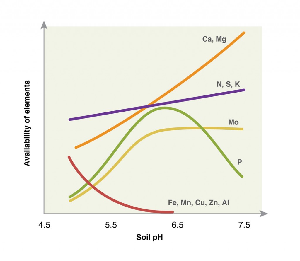 Manage soil acidity – South Coast Sandplain WA | EverGraze More ...