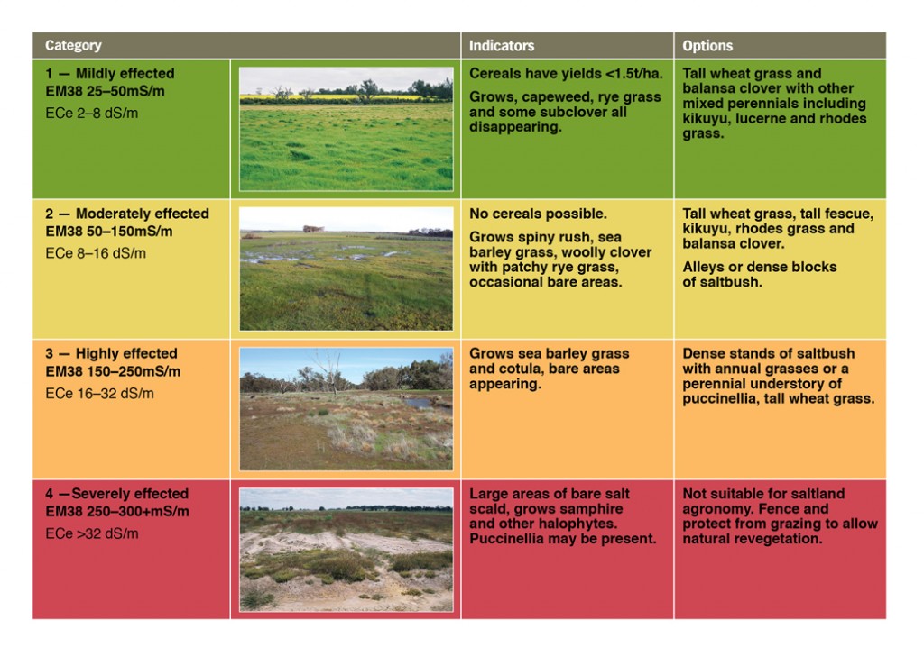 Manage recharge and salinity – South Coast Sandplain WA | EverGraze ...
